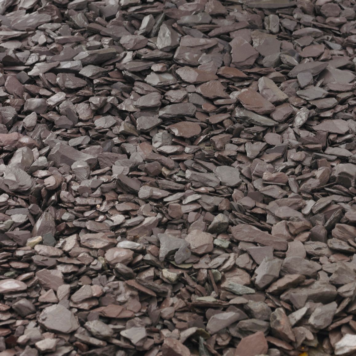 Plum Decorative slate chippings 790000g | Departments | DIY at B&Q
