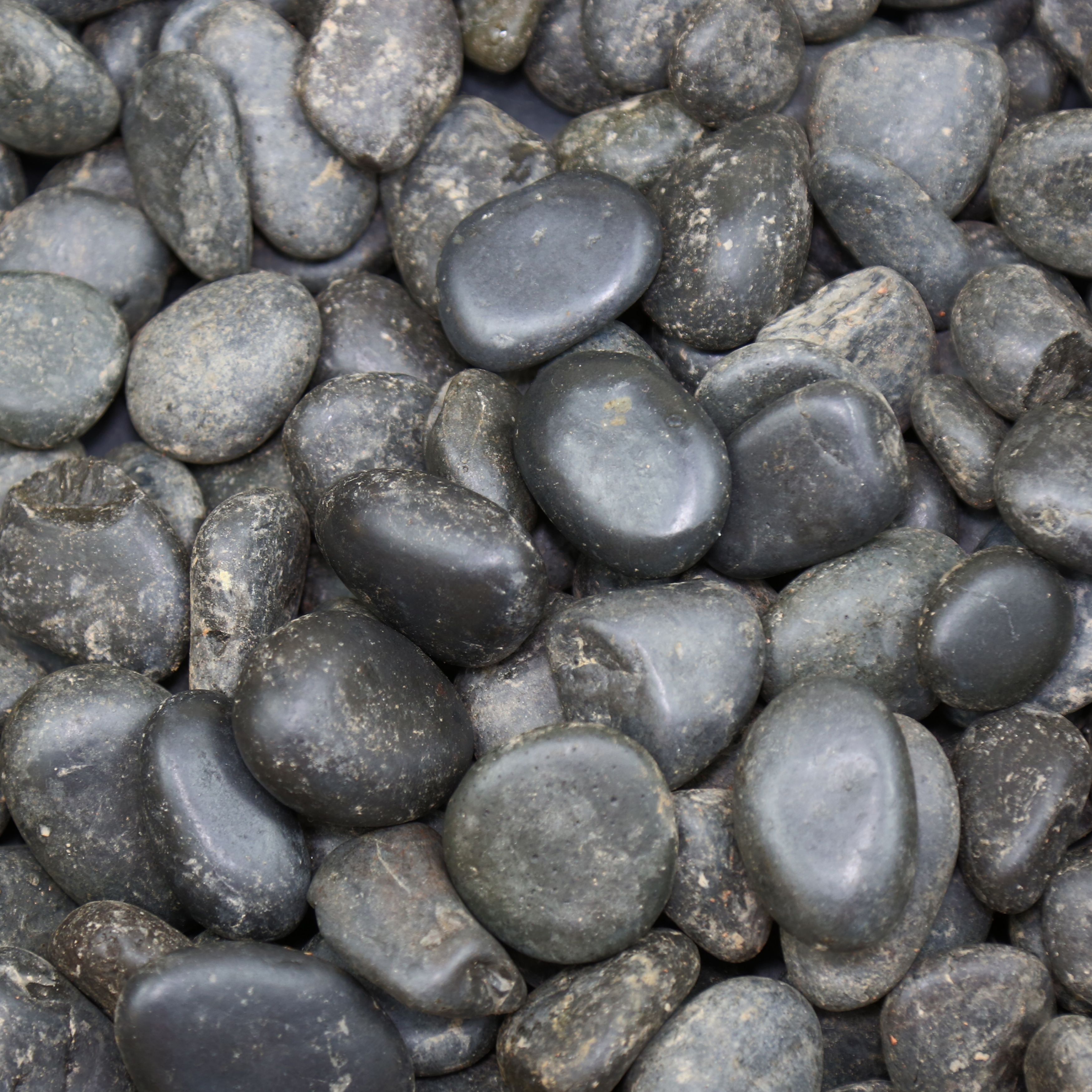 Polished Black Chinese polished pebbles 5kg | Departments | DIY at B&Q