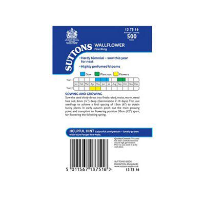 Fire king Wallflower Seed | Departments | DIY at B&Q