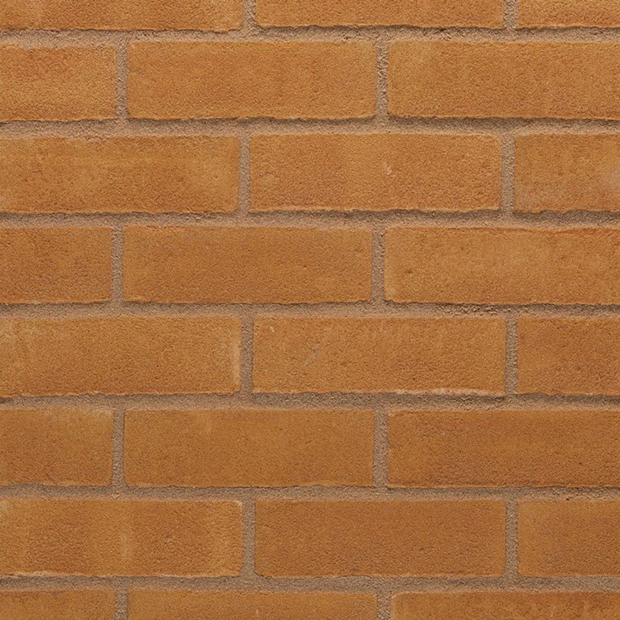 Wienerberger Yellow Facing brick (L)215mm (W)102.5mm (H)65mm, Pack of ...