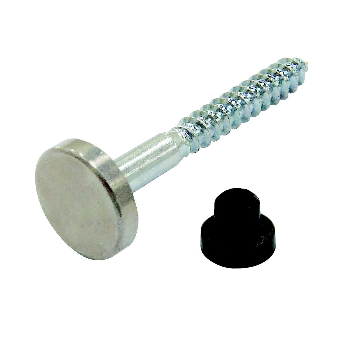 Easyfix Carbon steel Mirror screw (L)31mm, Pack of 10 | Tradepoint