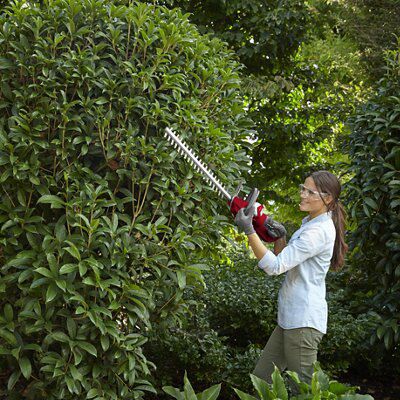 Mountfield 48v hedge trimmer store