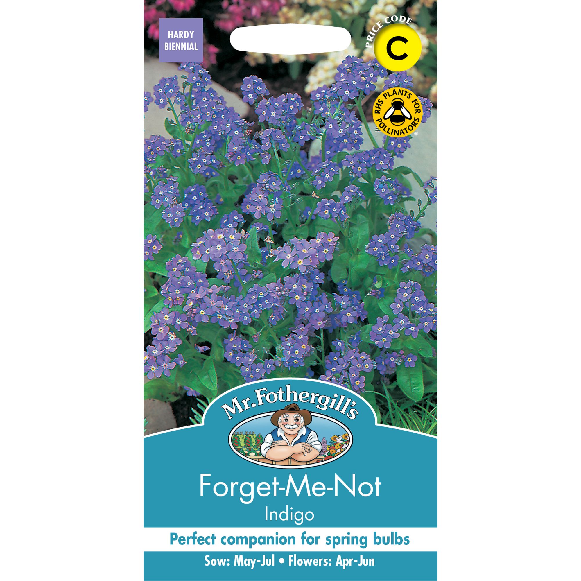 Mr Fothergills Indigo Forget Me Not Flower Seeds