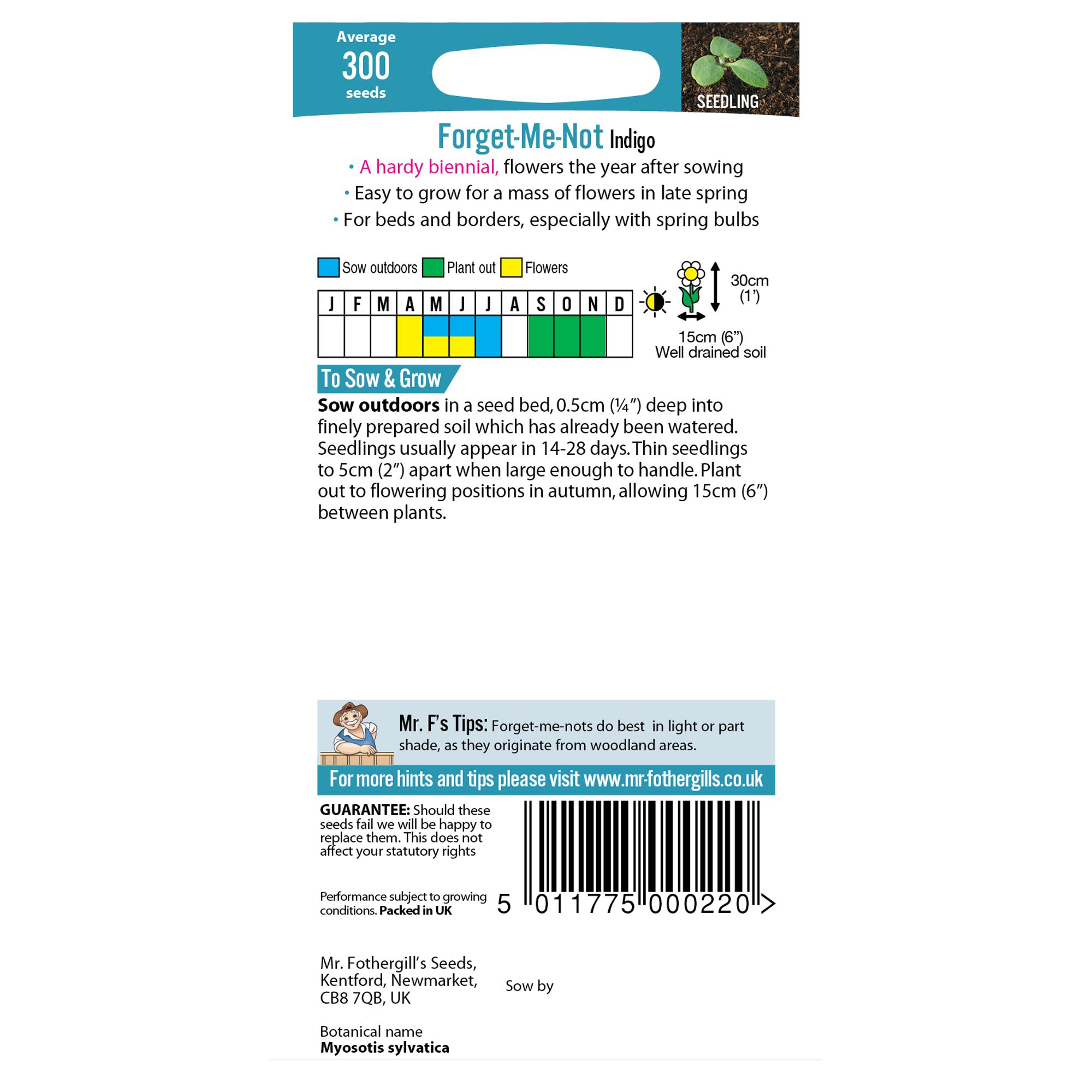 Mr Fothergills Indigo Forget Me Not Flower Seeds