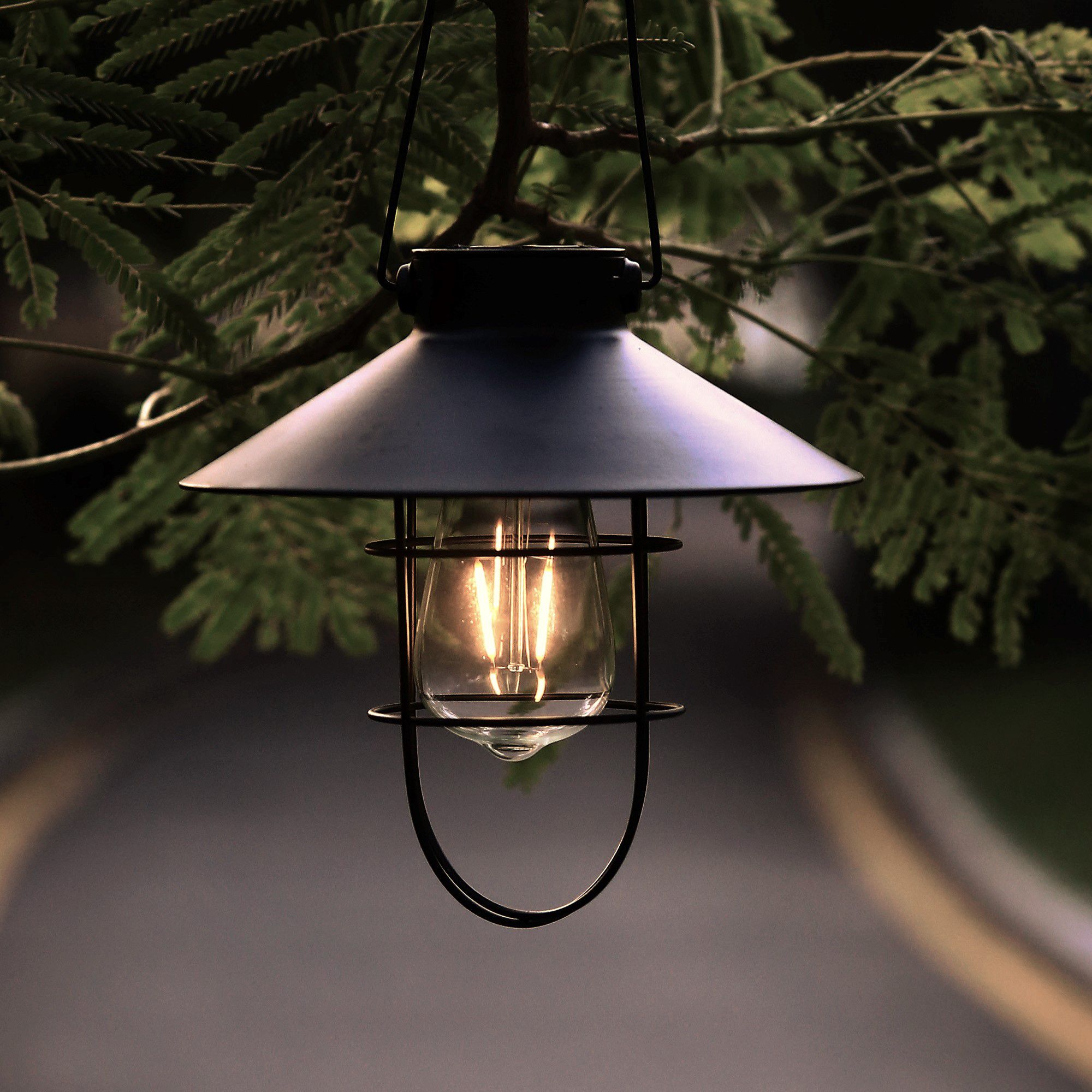 Scilla Black Solar powered Integrated LED Outdoor Hanging lantern