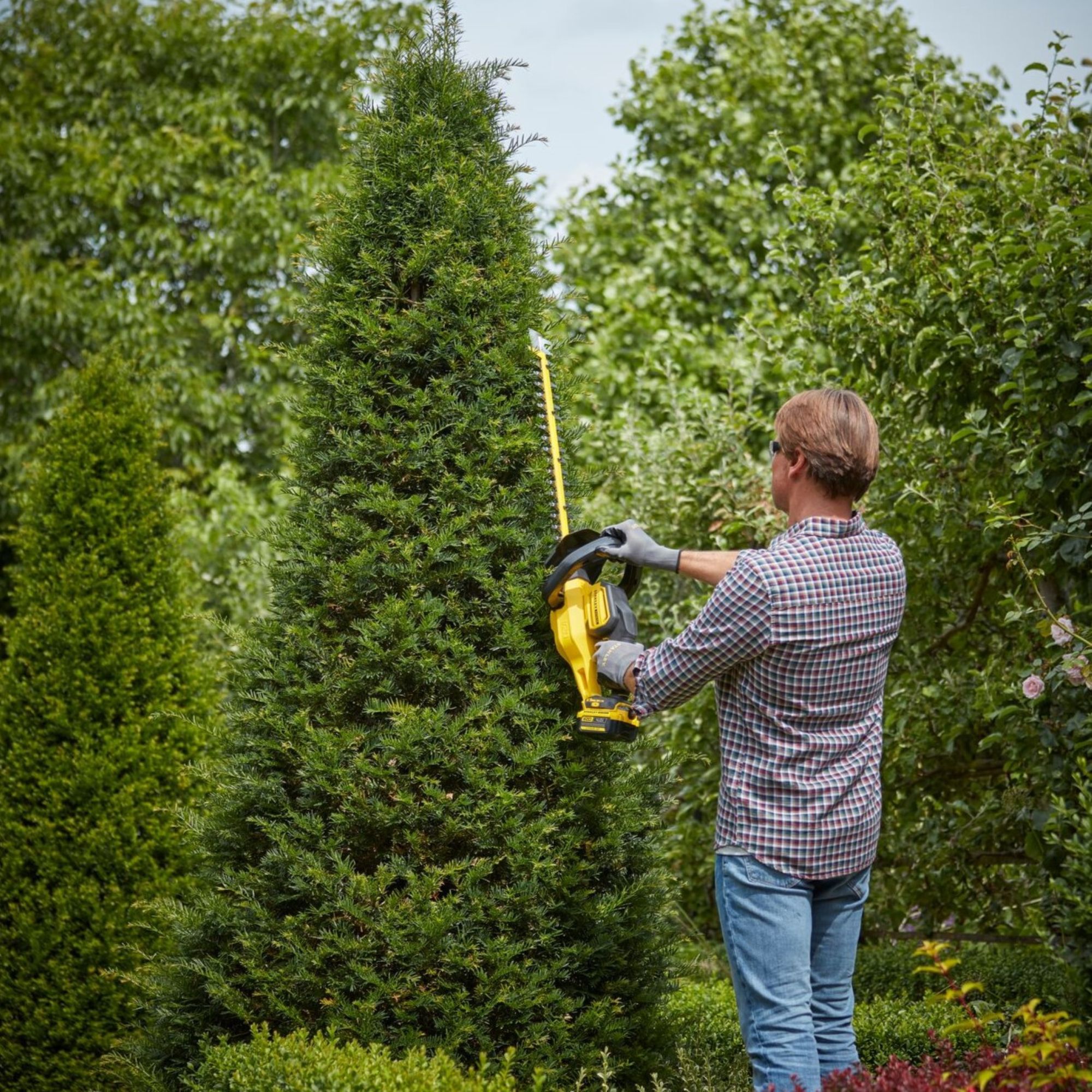 Stanley FatMax V20 18V Cordless 55cm Pole hedge trimmer (1 x 4Ah ...